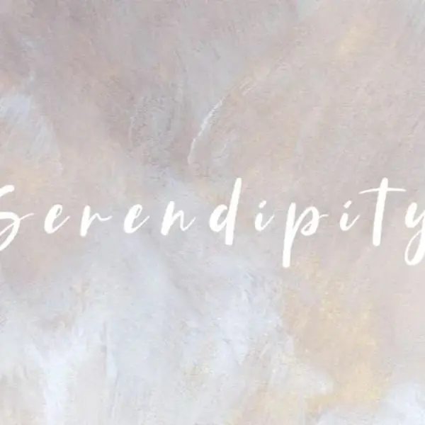 serendipit.kr_shop | 인포크링크