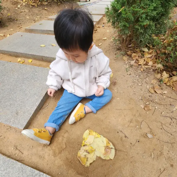 daeng_geuri | 인포크링크