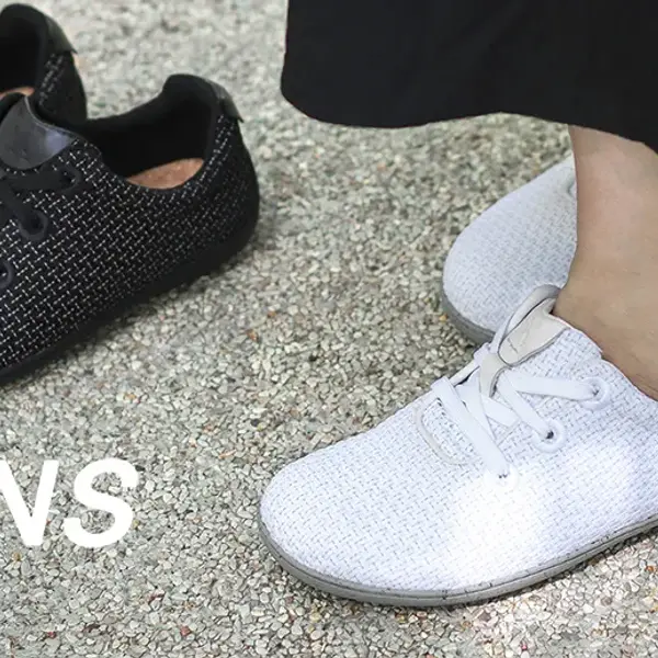 ksns | 인포크링크