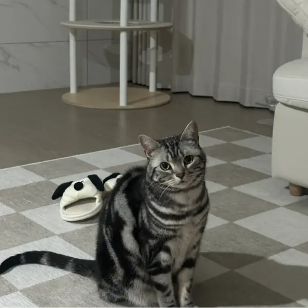 wolll_log | 인포크링크