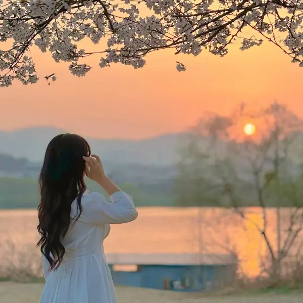 lovelymomo | 인포크링크