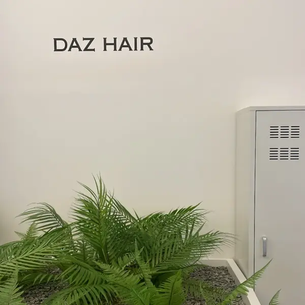 dazhair | 인포크링크