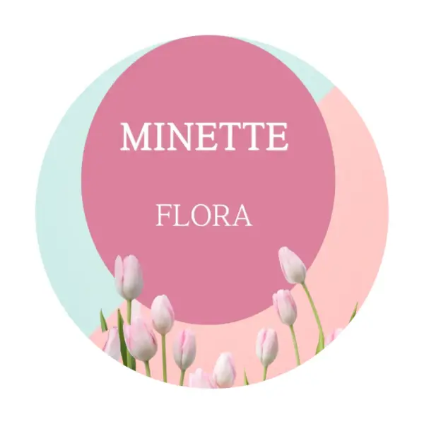 minette | 인포크링크