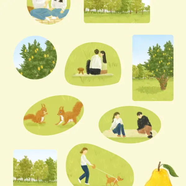 saesoon_jeonju | 인포크링크