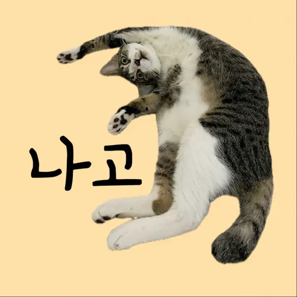 nago.cat | 인포크링크
