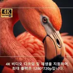 jamjam_at_home | 인포크링크