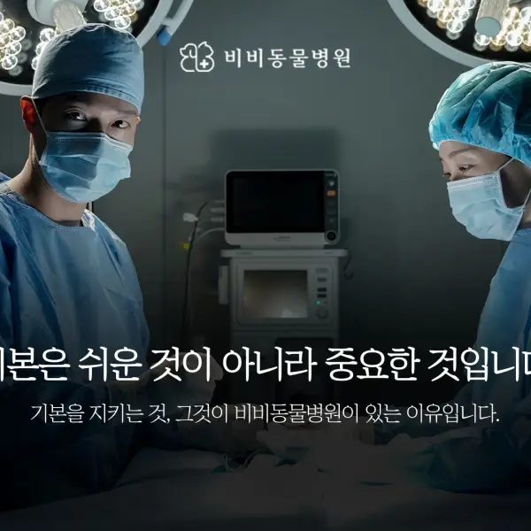 bibi_animal | 인포크링크